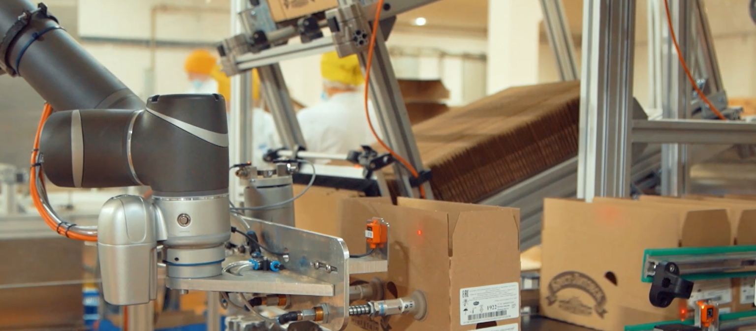Cobot Packaging: Revolutionizing Packing Robots Through Automation